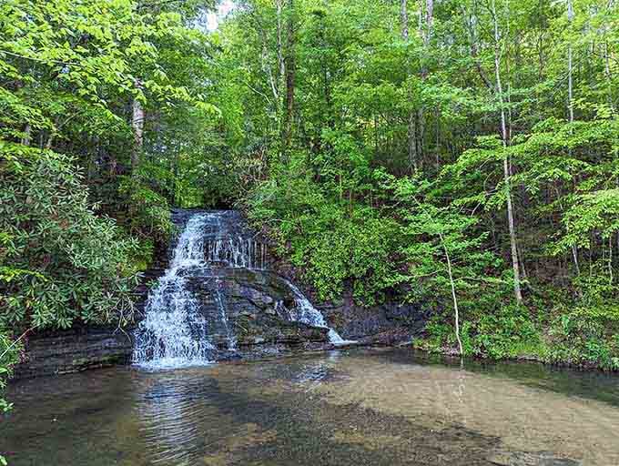 The waterfall's emerald surroundings and crystal-clear pool make this a refreshing reward for your woodland walk.