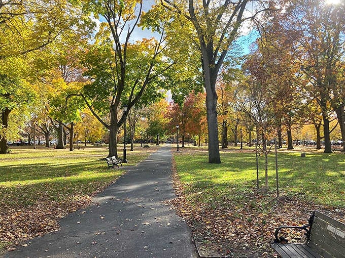 Tree-lined paths and autumn colors transform this urban park into a peaceful European-style retreat for locals.