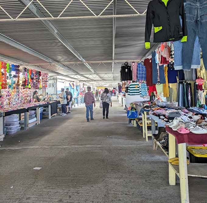 The endless aisles stretch out like a retail choose-your-own-adventure novel with unlimited plot twists ahead.