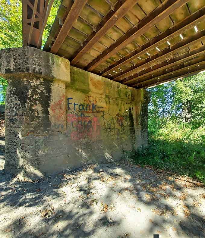 That low-angle view reveals the bridge's skeletal beauty, all angles and shadows like something from an Edward Hopper painting.