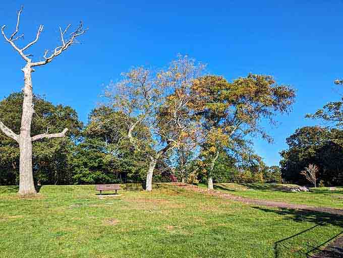 The manicured lawn meets wild cliffside in a partnership that would make any landscape designer weep.