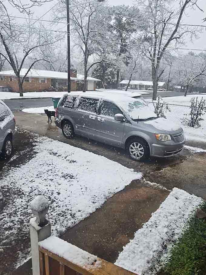 That rare Georgia snow day when everyone forgets how to drive and bread vanishes from stores instantly.