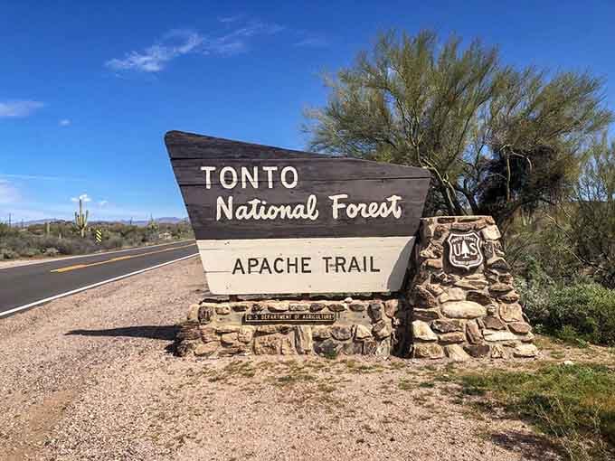 When even the Forest Service sign looks picturesque, you know you've hit the scenic jackpot, friends.
