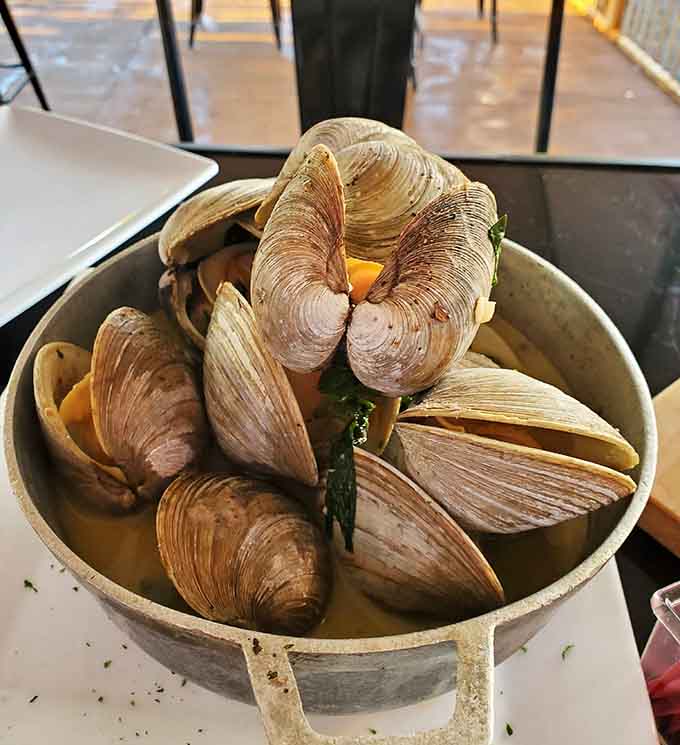 Fresh steamed clams in a pot big enough to share, or not, we won't judge your choices.