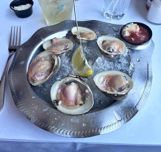 Fresh clams on the half shell remind you that sometimes the best meals are the ones that taste exactly like the sea.