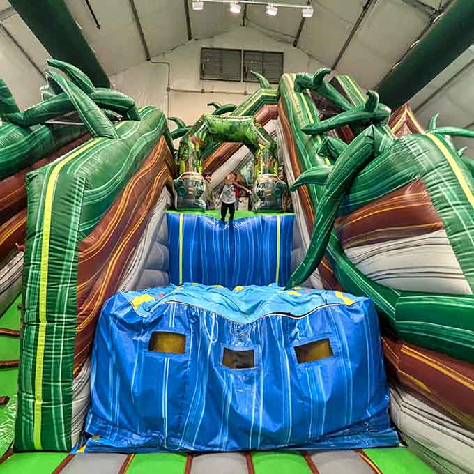 This inflatable jungle gym looks like it was designed by someone who understood that bigger is always better.