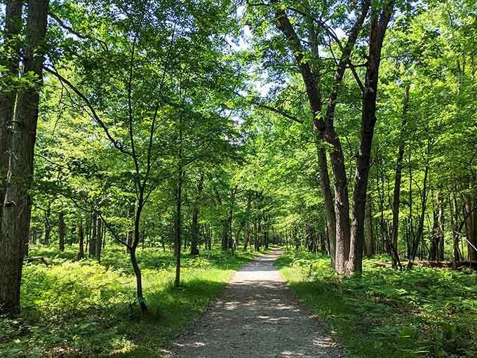 Shaded trails wind through Bay City's parks like nature's own air-conditioned hallways on hot summer days.