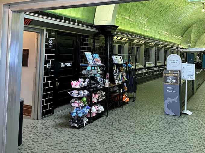 The gift shop proves you can leave with a souvenir without needing to take out a small loan first.