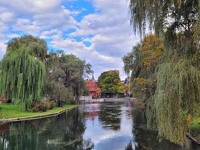 Talleyrand Park's willow trees frame Spring Creek like nature's own postcard, ducks included at no extra charge.