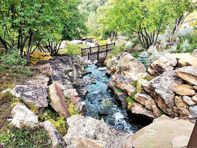 This charming wooden bridge offers the perfect spot to pause and pretend you're contemplating life's mysteries instead of just admiring flowers.