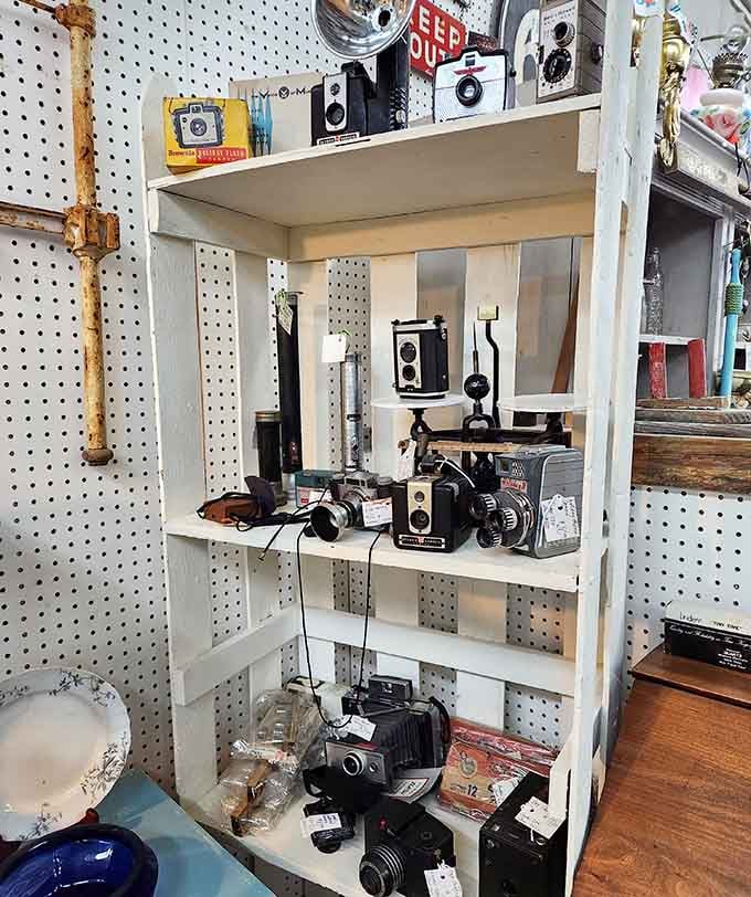 Remember when cameras used actual film? This collection is a nostalgic journey through photography's greatest hits.