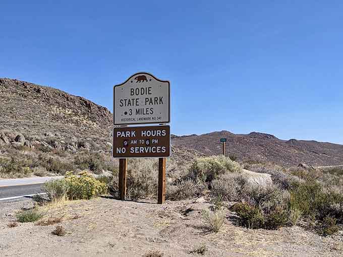 That "No Services" sign isn't kidding around, folks. Pack your snacks and embrace the beautiful isolation ahead.