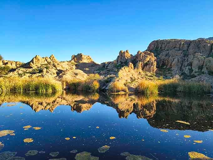 Perfect mirror reflections that'll have you questioning which way is up. Physics meets poetry at the water's edge.