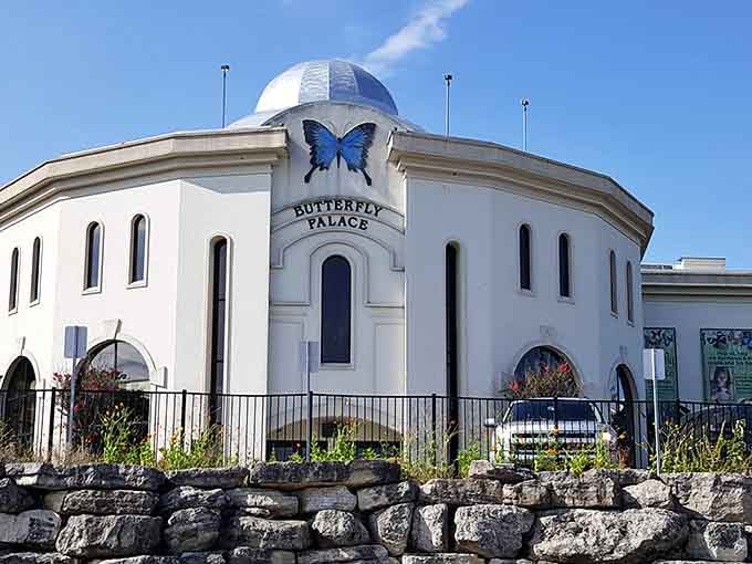 The Butterfly Palace's elegant exterior promises tropical escapes without airport security lines or lost luggage drama inside.