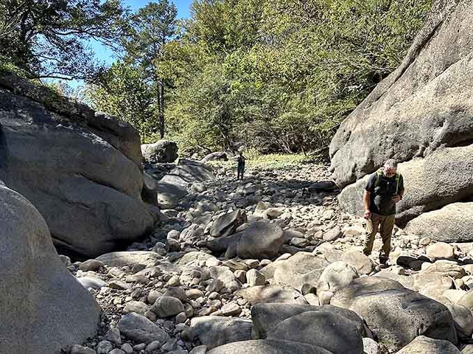 South Sauty Creek's boulder garden offers the kind of natural obstacle course that makes regular gyms look boring.