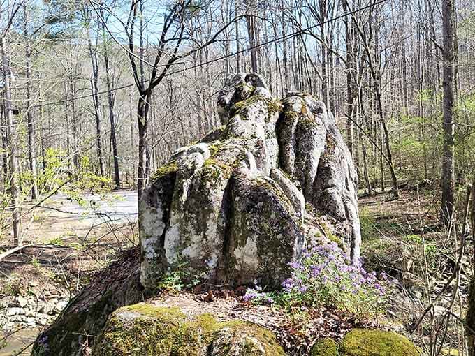 Rock formations wearing moss like nature's own designer accessories, millions of years in the making and worth every second.