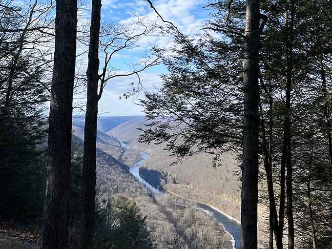 Trees framing nature's masterpiece like they know exactly what they're doing up there on the ridge.