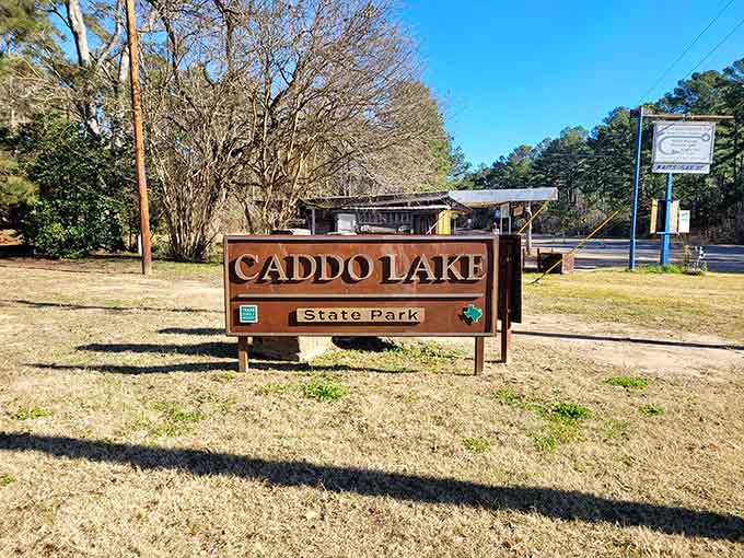 Welcome to Texas's best-kept secret, where swamps are beautiful and alligators are surprisingly good neighbors.