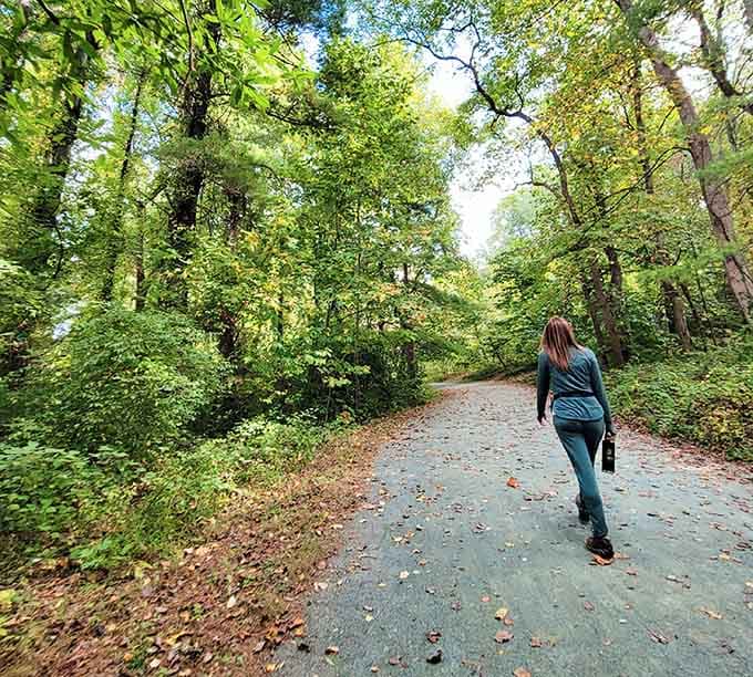 Walking these peaceful trails feels like stepping into your own personal nature documentary, minus the narrator.