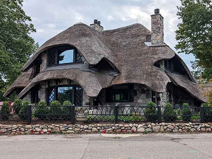 Mushroom Houses proving that architectural rules are merely suggestions for the truly creative and slightly rebellious.