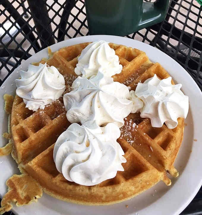 Belgian waffle crowned with whipped cream rosettes because sometimes breakfast needs to feel like a celebration of life itself.