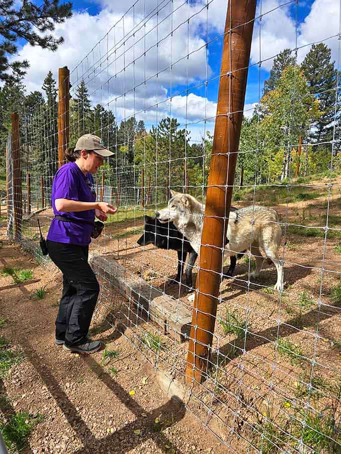 Feeding time creates connections between species that Disney movies only wish they could capture this authentically.