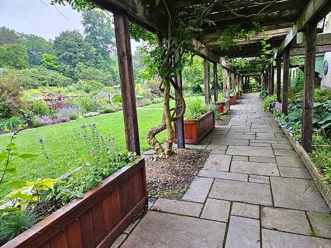 This elegant pergola offers shade and structure while framing garden views like living artwork on display.