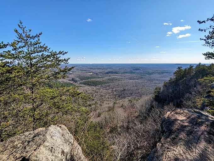 Panoramic Piedmont views stretch endlessly, reminding you that sometimes the best entertainment doesn't require a screen.