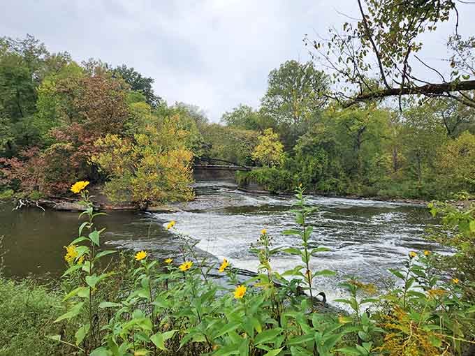 The Cuyahoga River winds through valleys that look like they were painted by someone showing off.