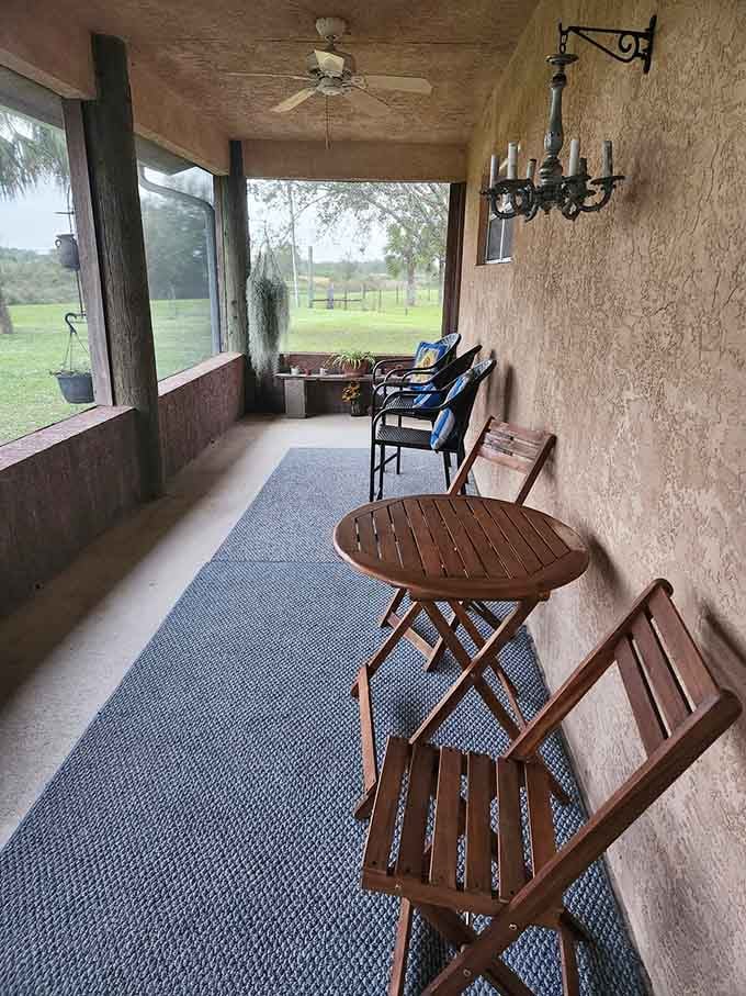 Your morning coffee spot overlooking pastures where the only traffic jam involves wandering cattle and birdsong.