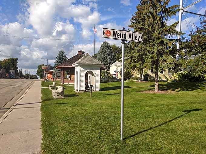 Welcome to Weird Alley, where Darwin celebrates its quirky side with the kind of honesty we desperately need.