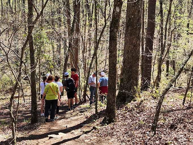 These trails bring together hikers of all ages, proving that natural beauty is the ultimate common ground for everyone.