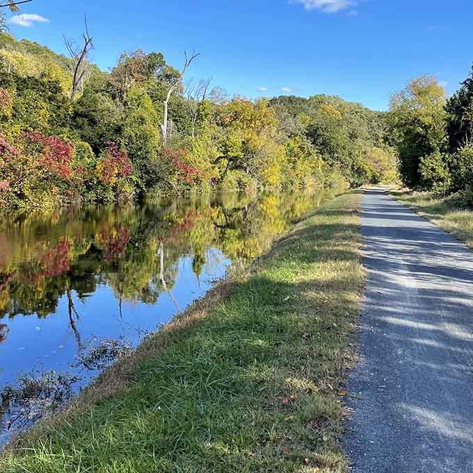The canal towpath offers miles of flat, peaceful walking where your biggest decision is whether to go left or right.