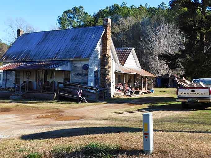 This weathered homestead with its blue tin roof represents the resilient spirit of rural Alabama's past generations.