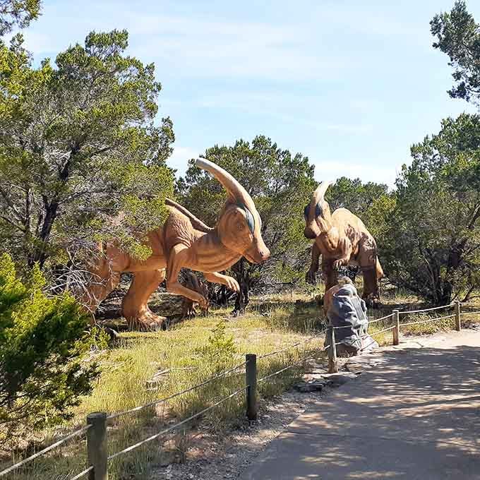The Parasaurolophus sports that distinctive head crest like nature's own French horn, minus the actual musical talent of course.
