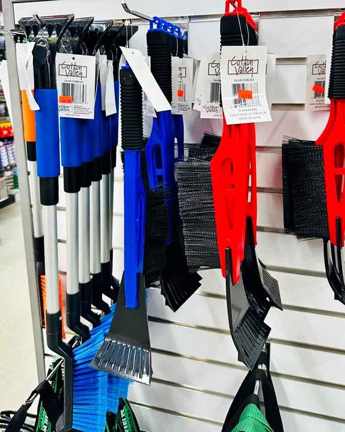Ice scrapers in every color mean you can match your winter survival tools to your mood.