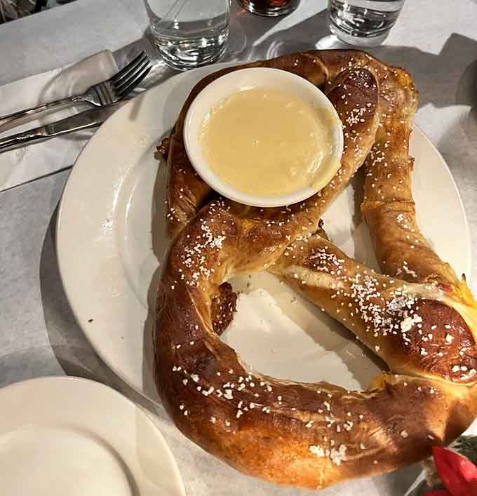 A pretzel so big it needs its own zip code, served with cheese sauce for maximum happiness.