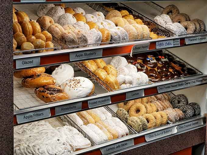 Rows of donuts lined up like sugary soldiers ready to make your day infinitely better than it was.