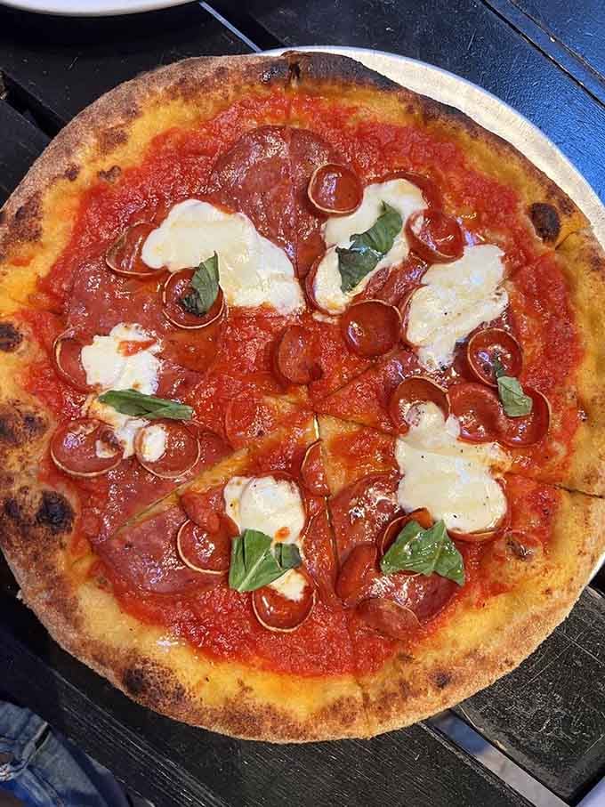 Pizza with fresh mozzarella and basil that looks like it wandered over from a much fancier establishment.