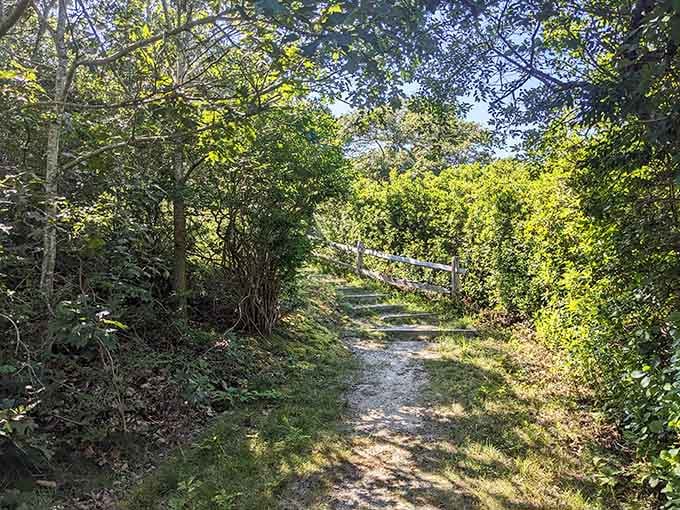 The forested beginning of the trail is nature's little joke before revealing the desert surprise ahead.