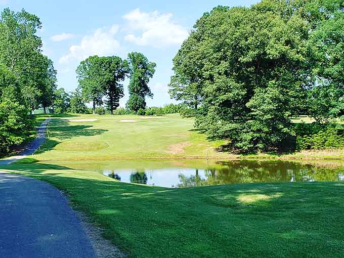 Water hazards that actually look inviting, surrounded by trees that know how to put on an autumn show worth watching.