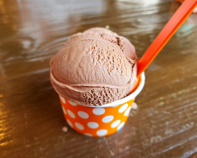That's not just chocolate ice cream, that's a perfectly formed scoop of pure joy waiting to make your taste buds very happy.