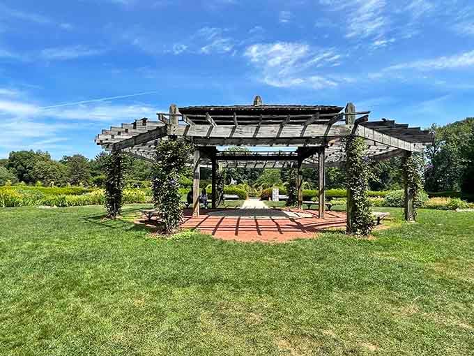 This pergola pavilion serves as the perfect frame for wedding photos, garden contemplation, or just standing there looking impressed.