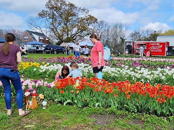 Visitors wander through brilliant tulip rows, living their best Dutch countryside fantasy without leaving the Peach State.