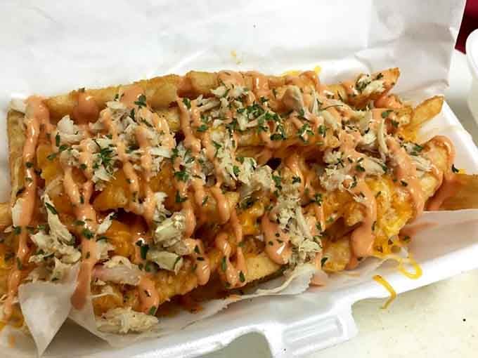 Shrab fries topped with creamy sauce and cheese prove that some of life's best decisions involve loaded fries.