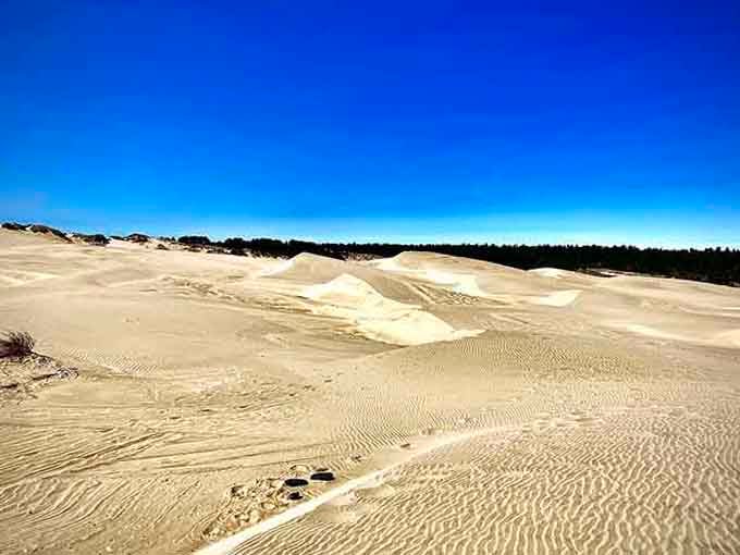 Sand dunes so massive they make you question whether you accidentally drove to another planet entirely.