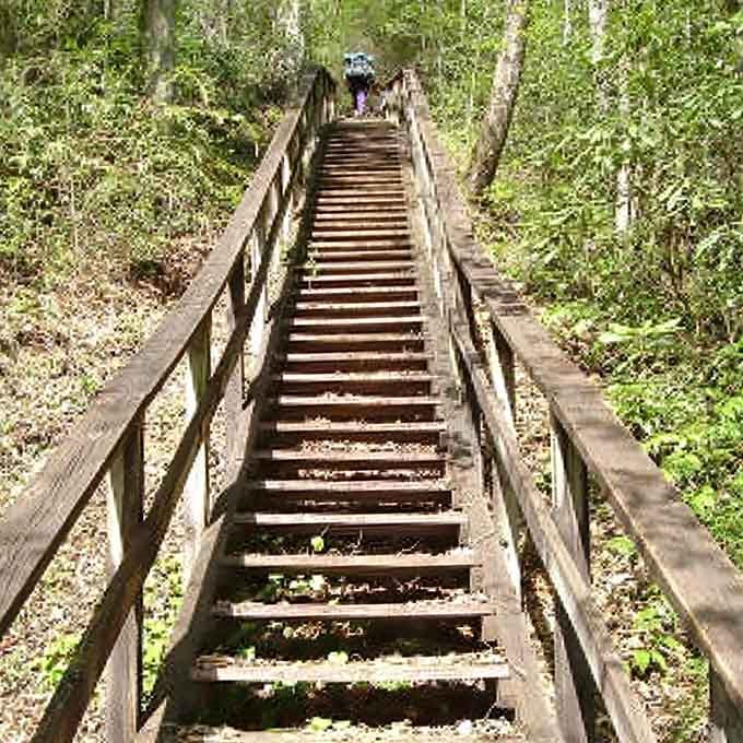 These stairs are your stairway to heaven, assuming heaven involves spectacular views and slightly burning quads.