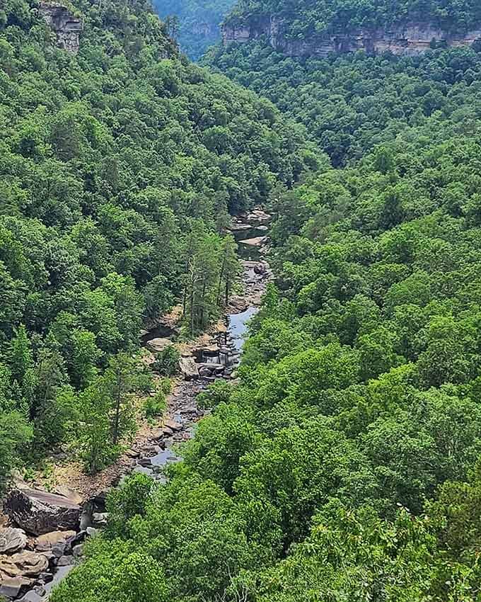Little River Canyon's waterways wind through forests so lush you'll forget what concrete looks like after just one afternoon here.