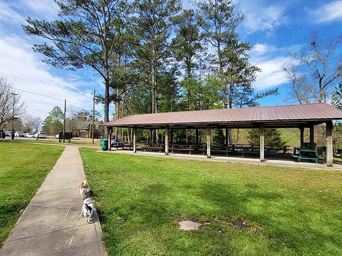 Kiwanis Pavilion offers covered picnic spots where you can actually enjoy a meal without fighting off aggressive seagulls.