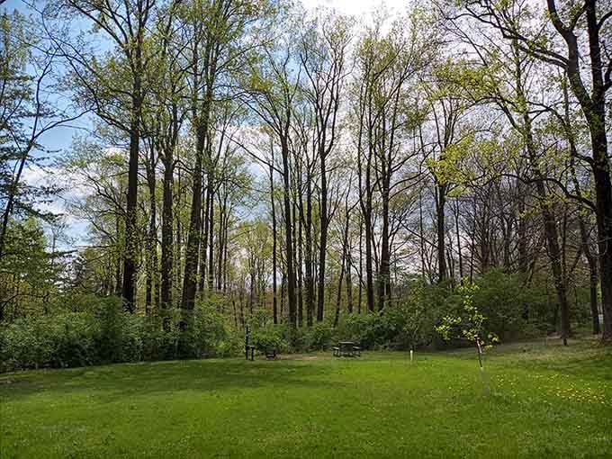 Open meadows like this remind you that Maryland has more to offer than traffic and humidity.